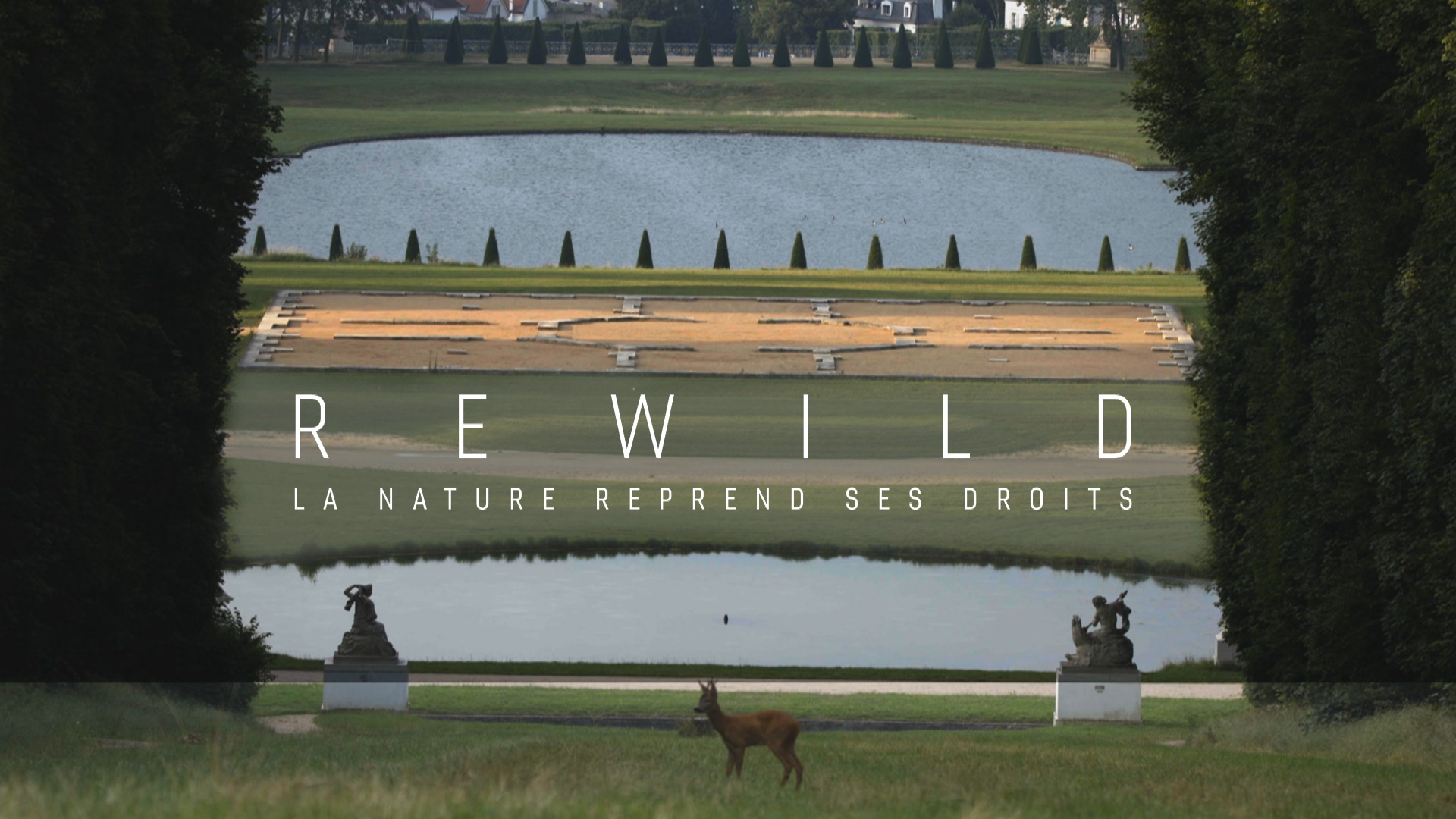Rewild, la nature reprend ses droits | FFV - Festival du Film Vert